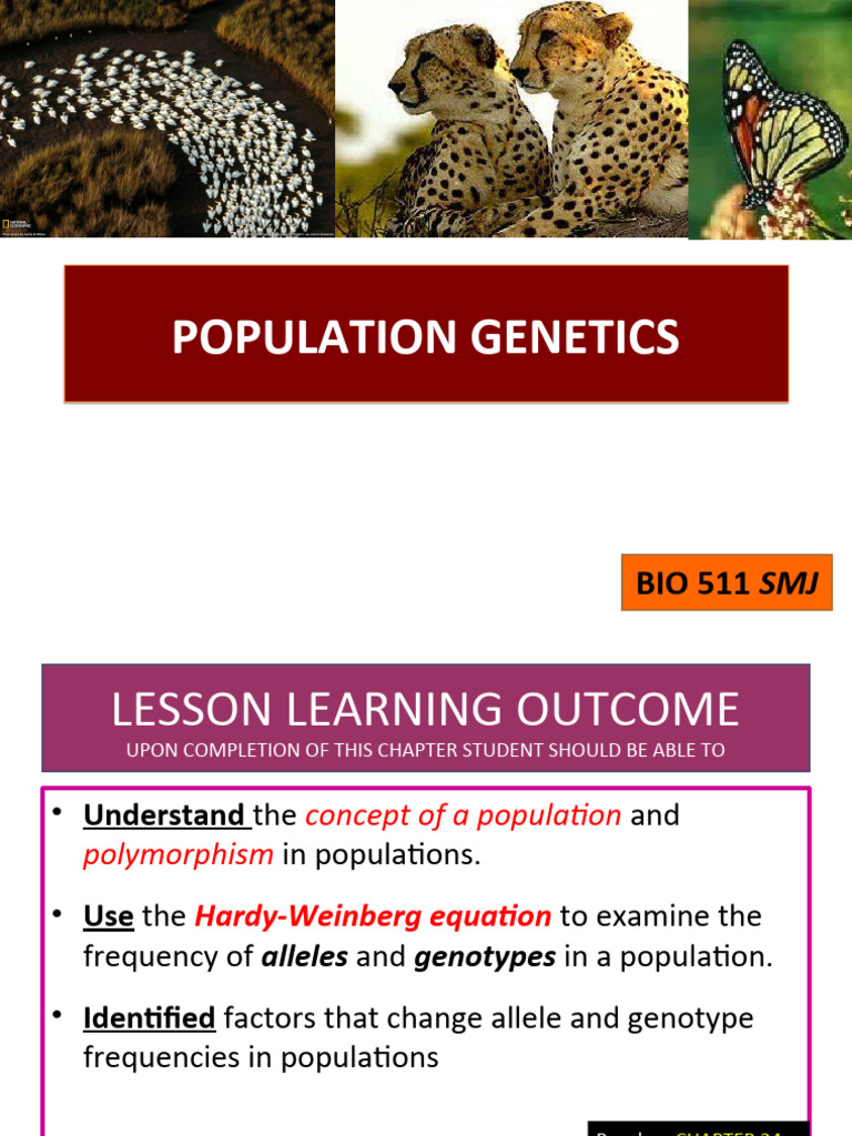 Population Genetics | PDF | Allele | Genotype