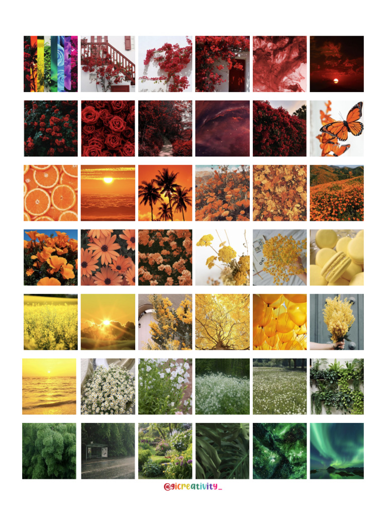 Libro De Stickers Pdf