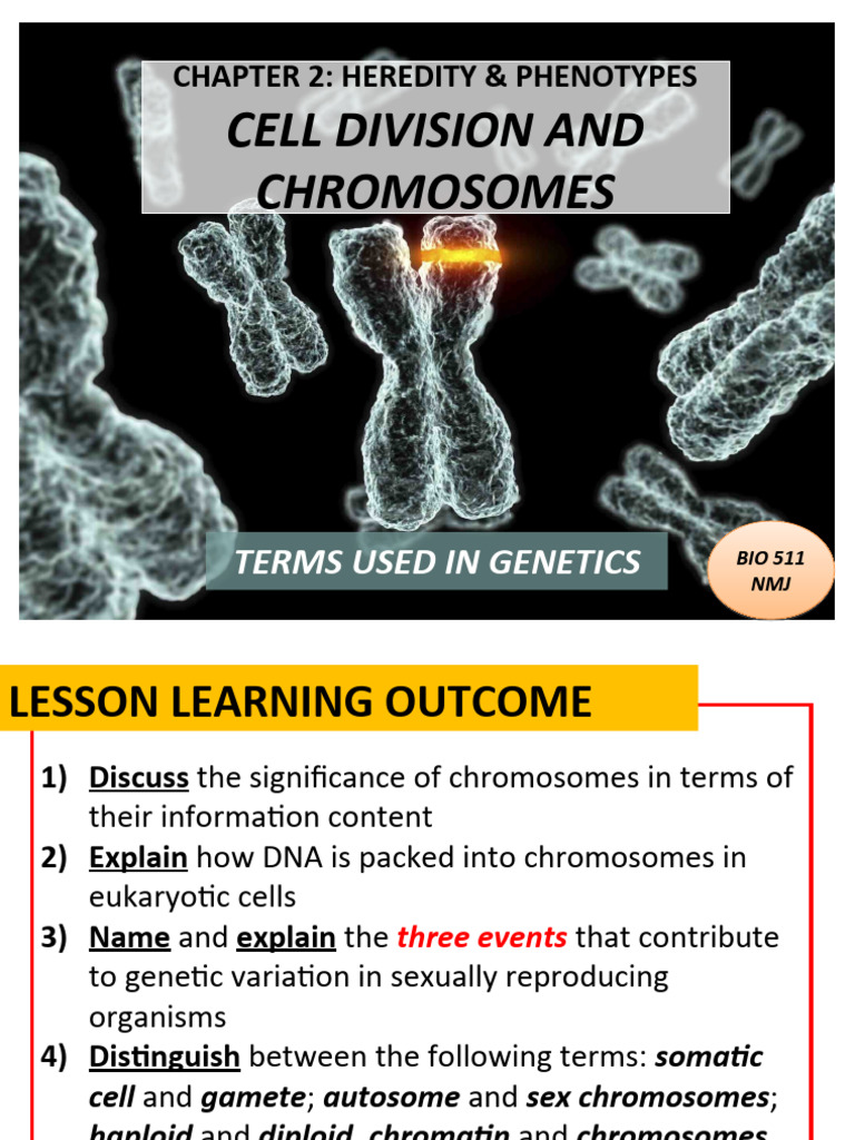 Lec9 Cell Division and Chromosome | PDF | Meiosis | Chromosome