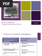 Science 9 Lesson 2 Non Mendelian Patterns of Inheritance | PDF ...