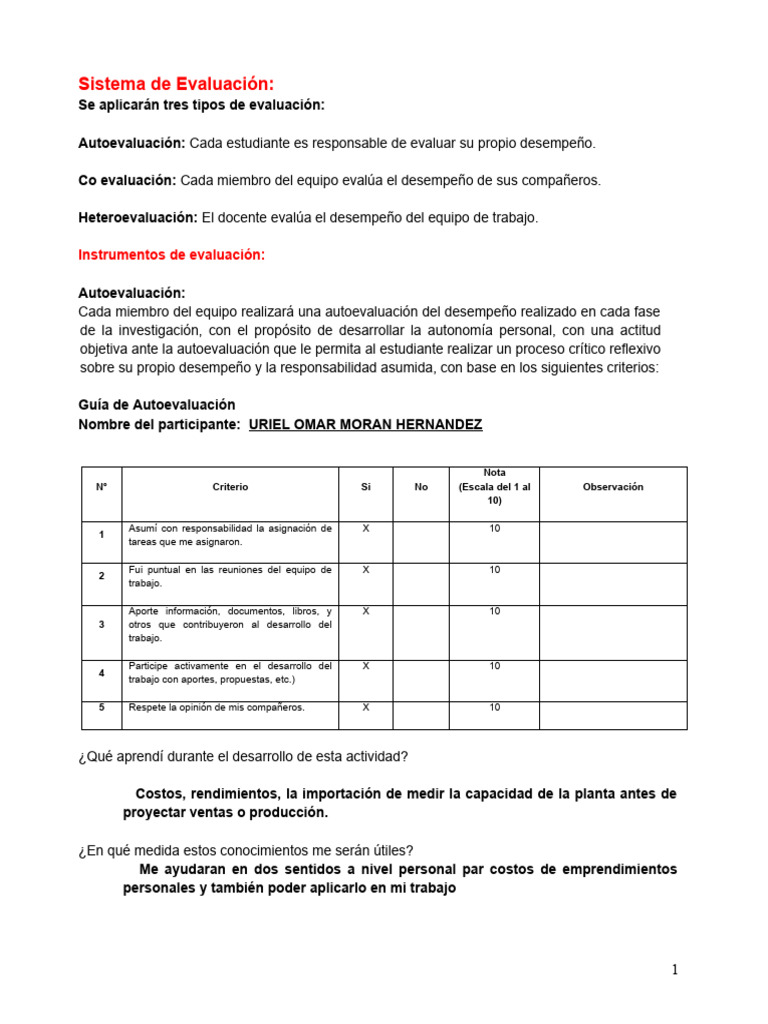 Sistema de Co-Evaluación - Yaneth | PDF | Evaluación | Cognición