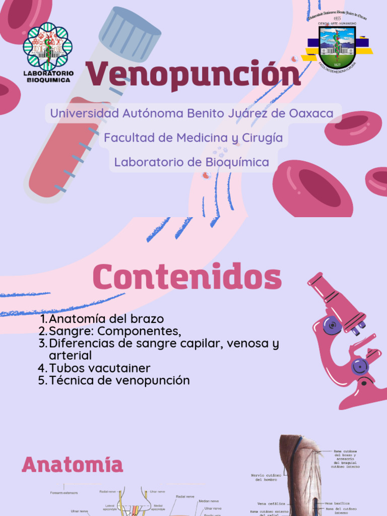 Venopunción | PDF | Sangre | Vena
