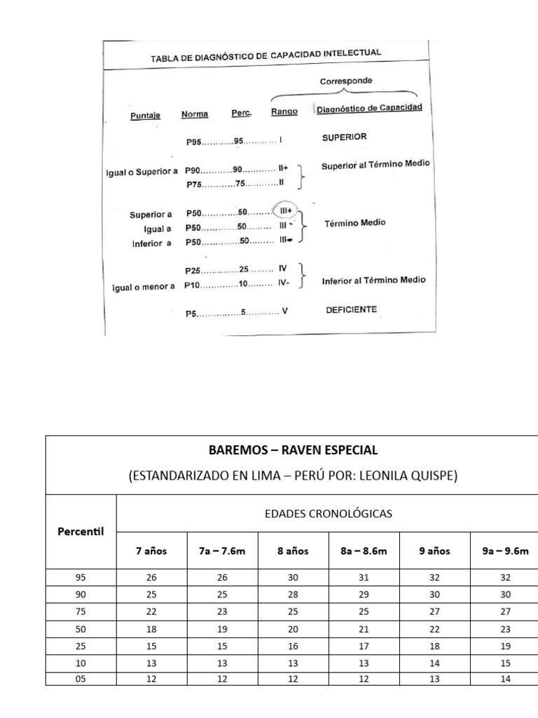 Baremos Raven | PDF
