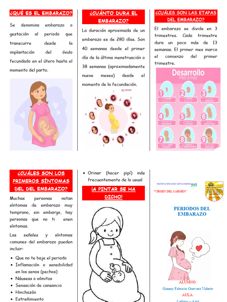 Proceso Del Embarazo | PDF | El embarazo | Embarazo humano