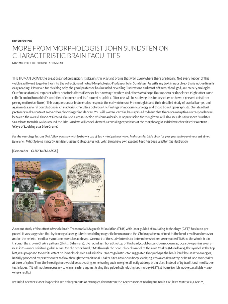 More From Morphologist John Sundsten On Characteristic Brain Faculties ...