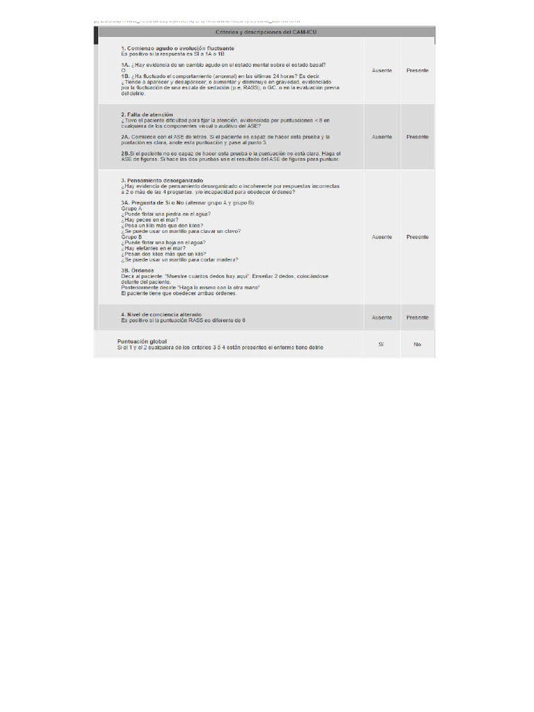 Escala Cam - Icu | PDF