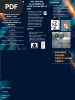 Mga Bagyo Sa Pilipinas | PDF