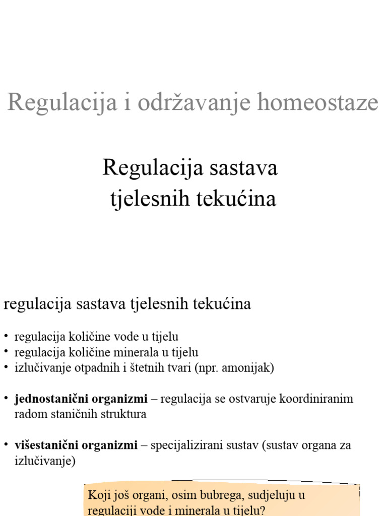 Regulacija Sastava Tjelesnih Tekuä Ina | PDF