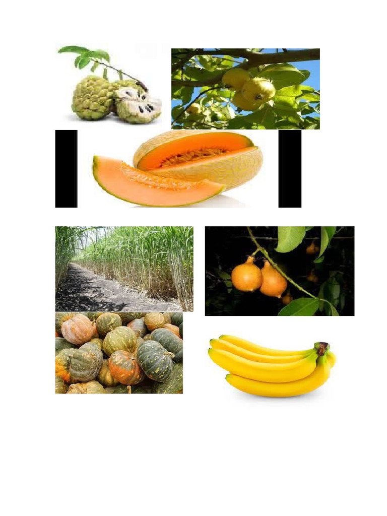 Frutas | PDF