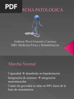 Marcha Steppage: Causas y Tratamiento | PDF | Electromiografia ...