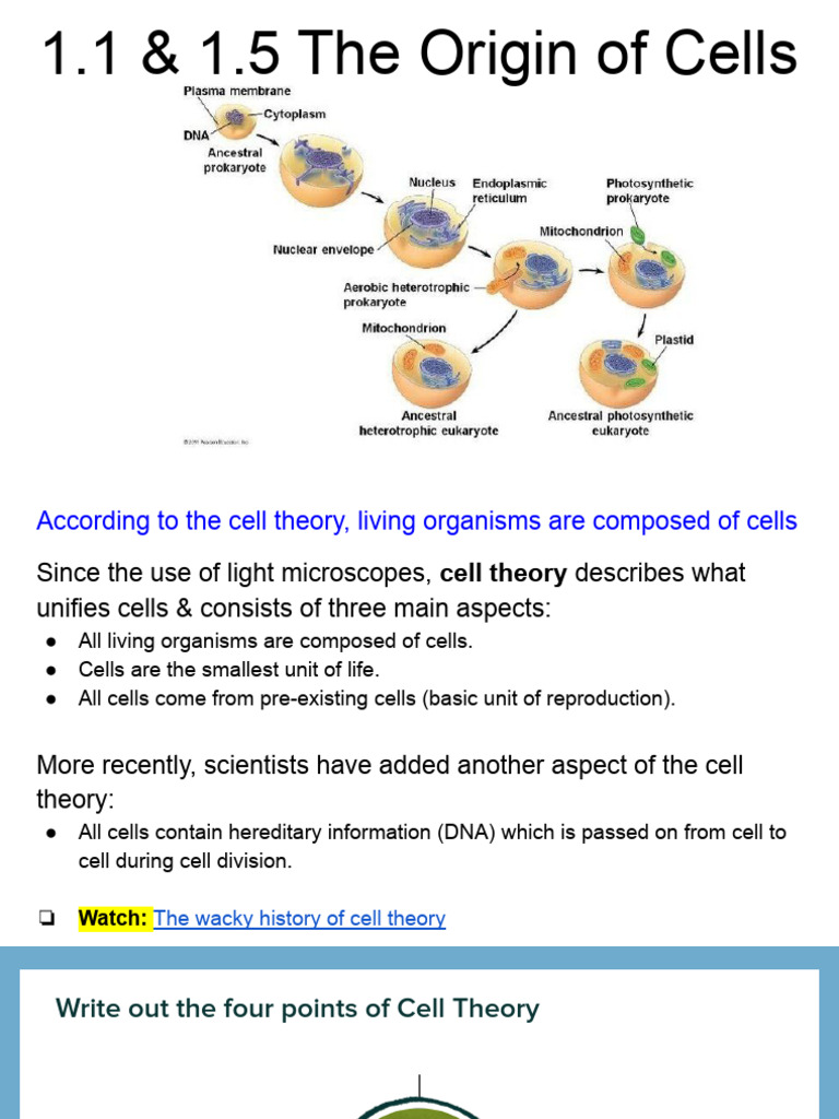 1.1 & 1.5 Intro & Origin of Cells | PDF | Cell (Biology) | Stem Cell