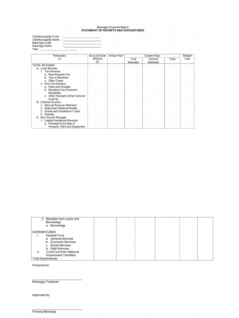 BFR SRE Stamp Receipt of Mun. Accountant | PDF