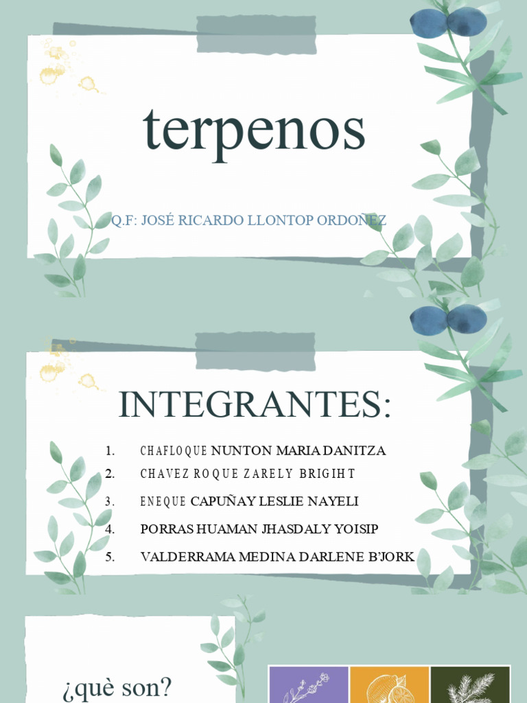 Terpenos Pdf Solvente Compuestos Químicos