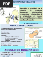 Articulación Coxofemoral Cuadro Integrador | PDF | Rodilla | Cadera