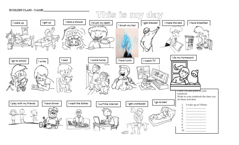 Daily Routines | PDF | Cooking | Meal