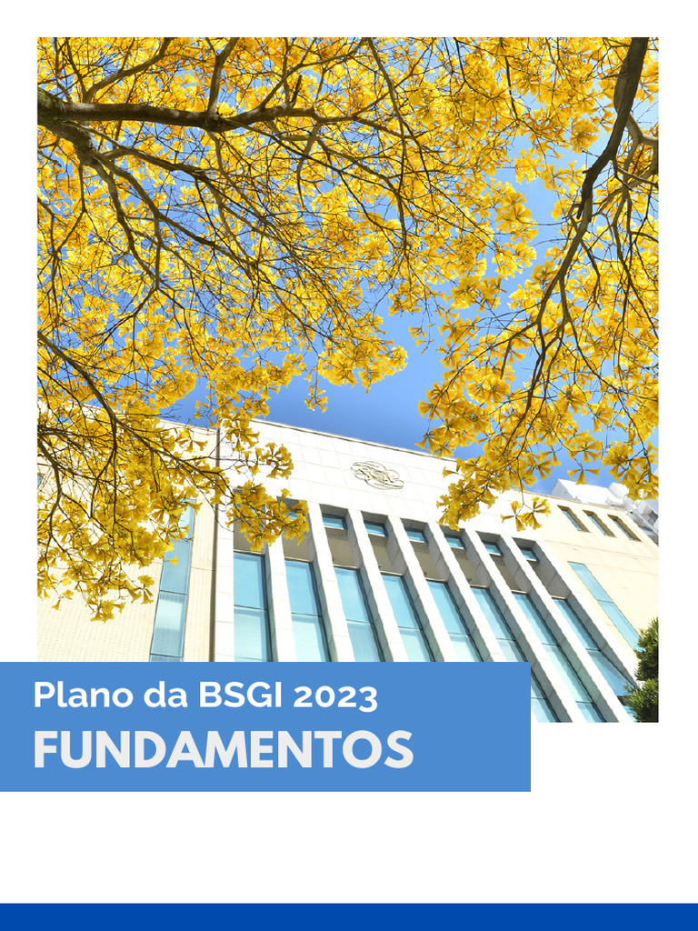 Plano Bsgi 2023 Fundamentos Do Plano | PDF