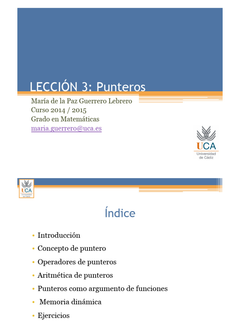 LECCION3 Punteros | PDF | Puntero (Programación de computadora) | Lenguaje de programación