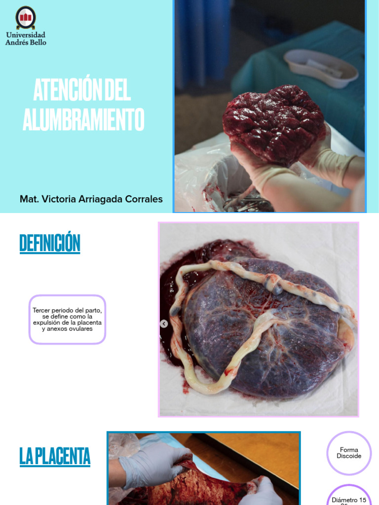 Atención Del Alumbramiento | PDF | Parto | Placenta