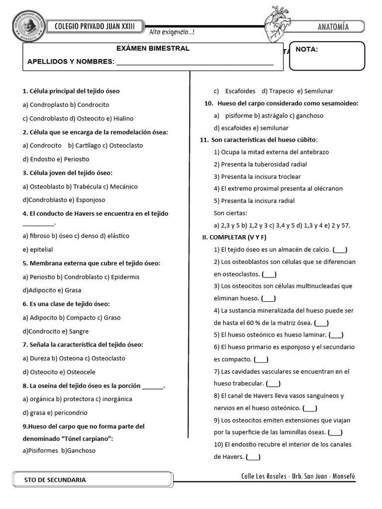Oseína en el tejido óseo: conceptos clave | PDF | Hueso | Sistema ...
