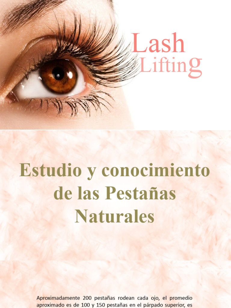 Lash Lifting | PDF