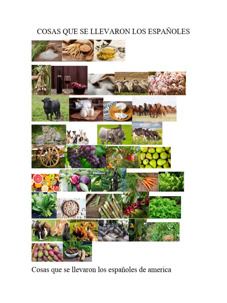 COSAS QUE SE LLEVARON LOS ESPAÑOLES | PDF
