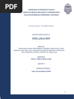 Triple Respuesta de Lewis en Inflamación | PDF | Inflamación | Inmunología