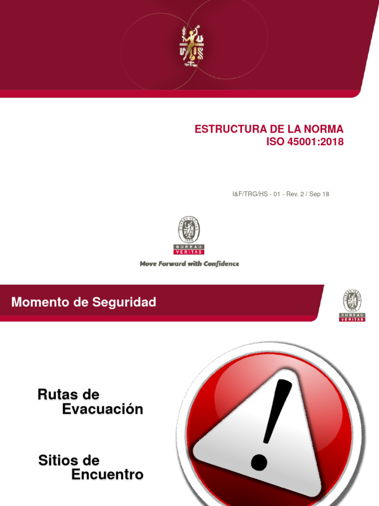 EST-ISO 45001-2018 - Rev2 - Sep - 18 | PDF | Planificación | Seguridad y salud ocupacional