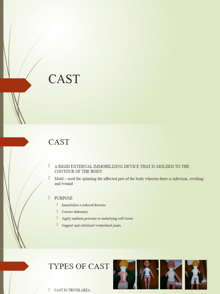 Part 2 Lecture 2 | PDF | Vertebral Column | Human Leg
