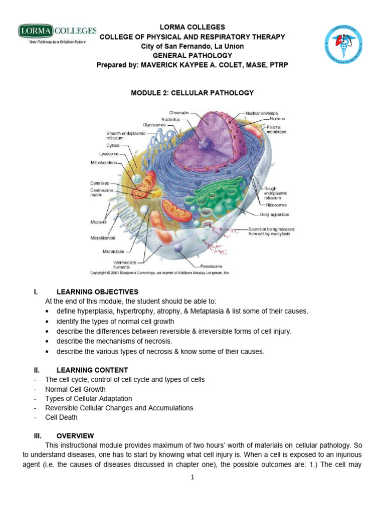 GenPath Mod2 Cellular Pathology | PDF | Epithelium | Necrosis