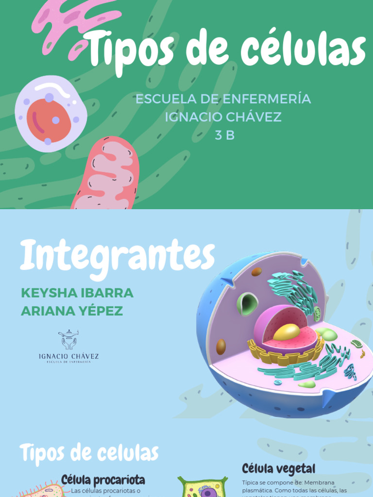 Presentación Biología Células | PDF | Biología Celular) | Citoplasma