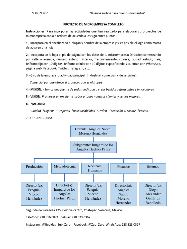 proyecto de microempresa completo | PDF