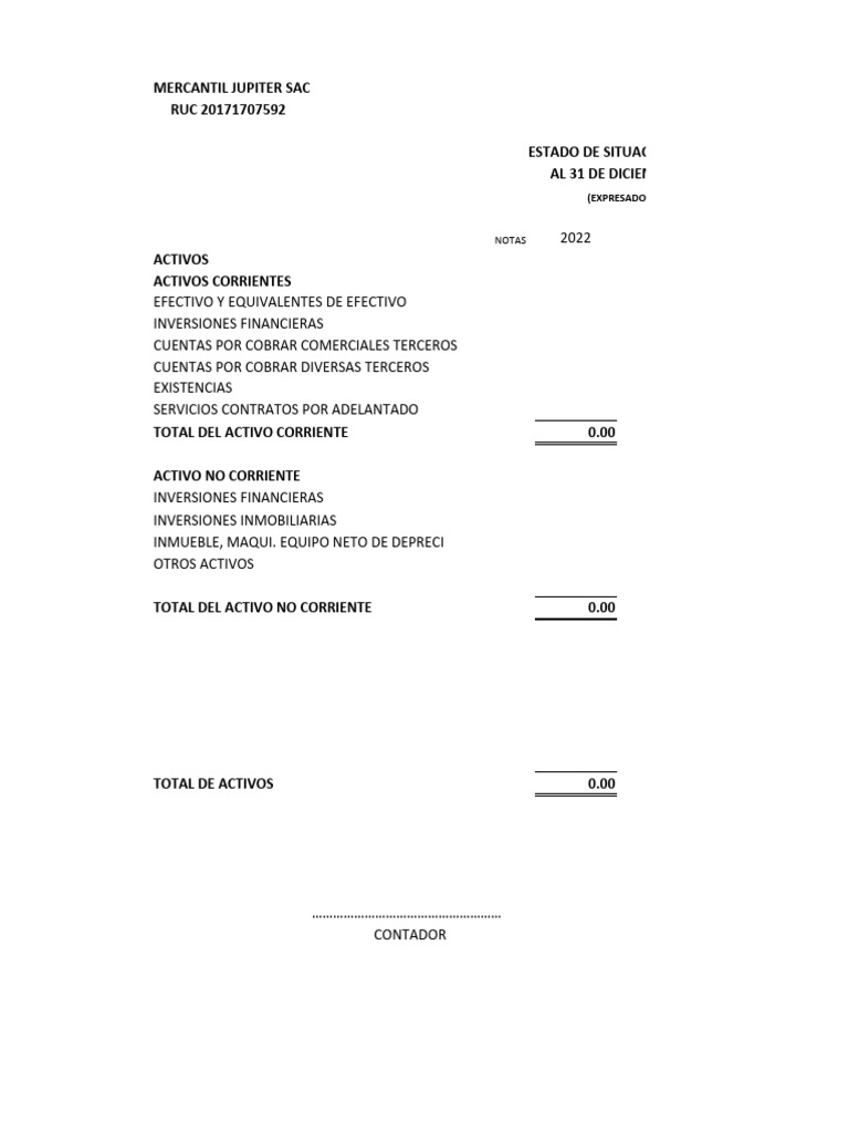 Formatos Eeff | PDF | Contabilidad | Business