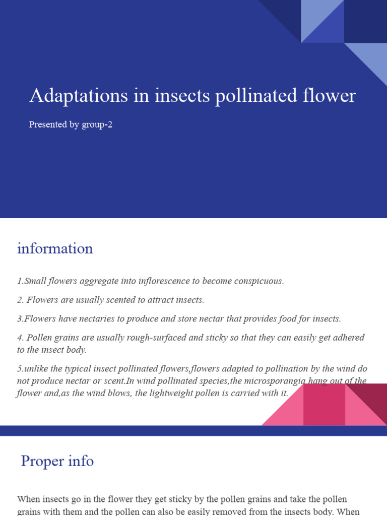 Adaptation in Insect Pollinated Flowers | PDF