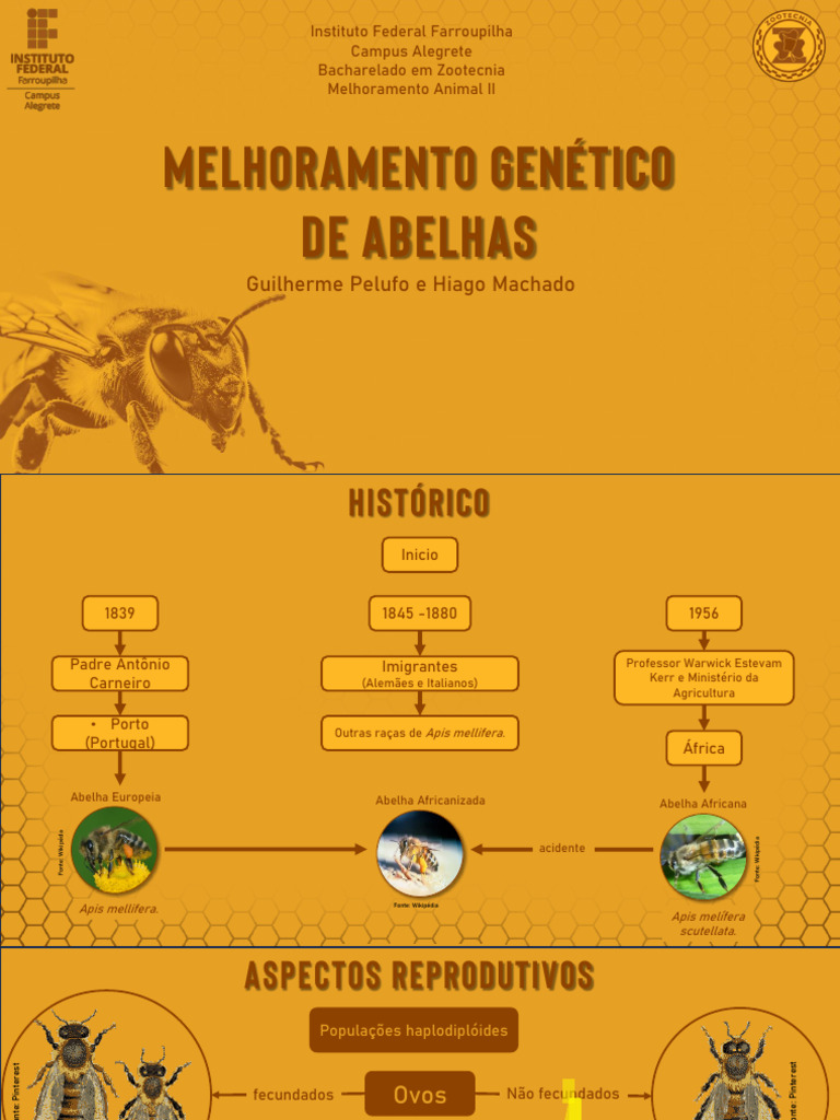 Melhoramento Genético de Abelhas | PDF | Abelhas | Abelha-europeia