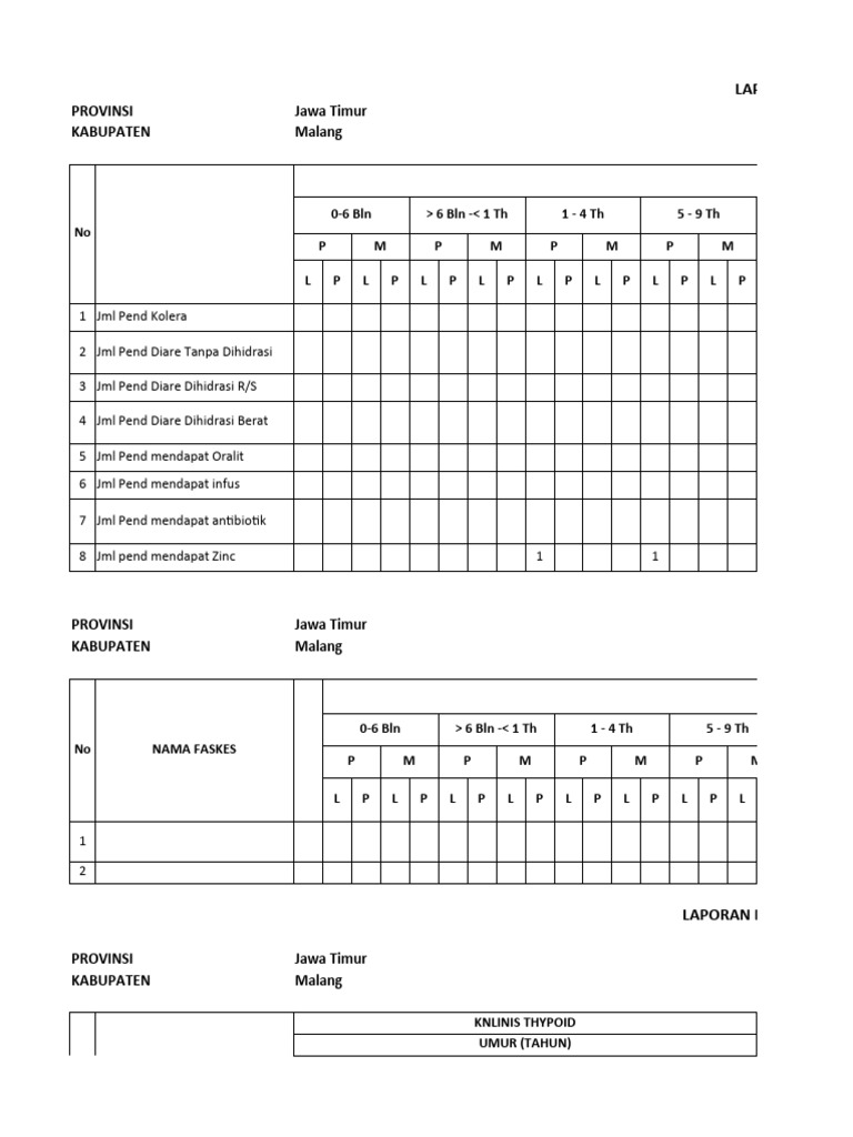 Laporan PKM SP2TP Juni 2023 | PDF