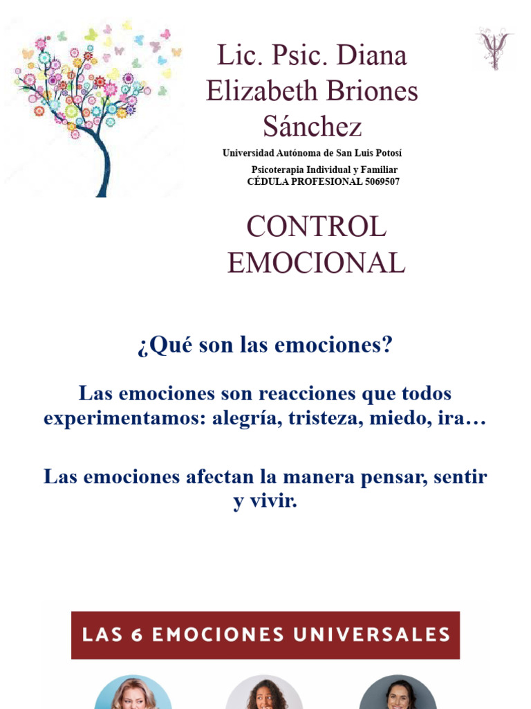 CONTROL EMOCIONAL | PDF | Las emociones | Sufrimiento