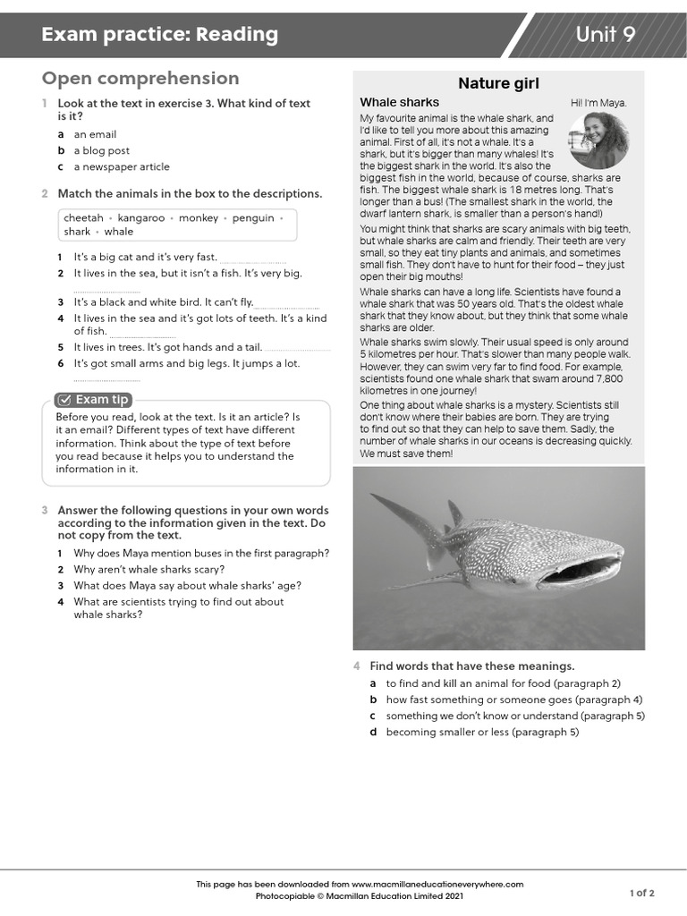 A1PLUS U9 Exam Practice Reading | PDF | Sharks | Whales
