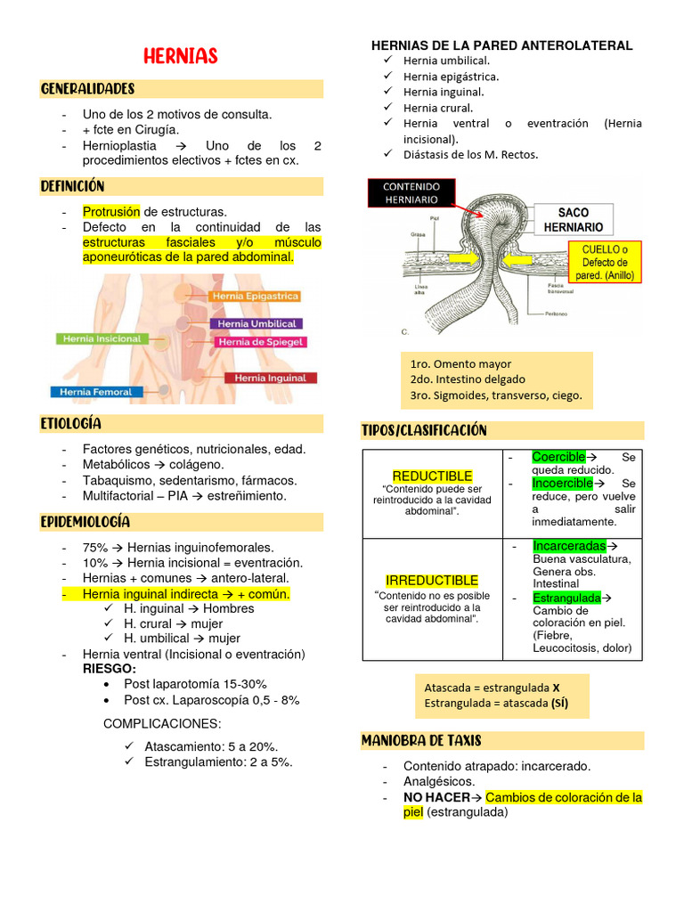 Hernias y Pato Anorectal | PDF | Hemorroides | Especialidades Medicas