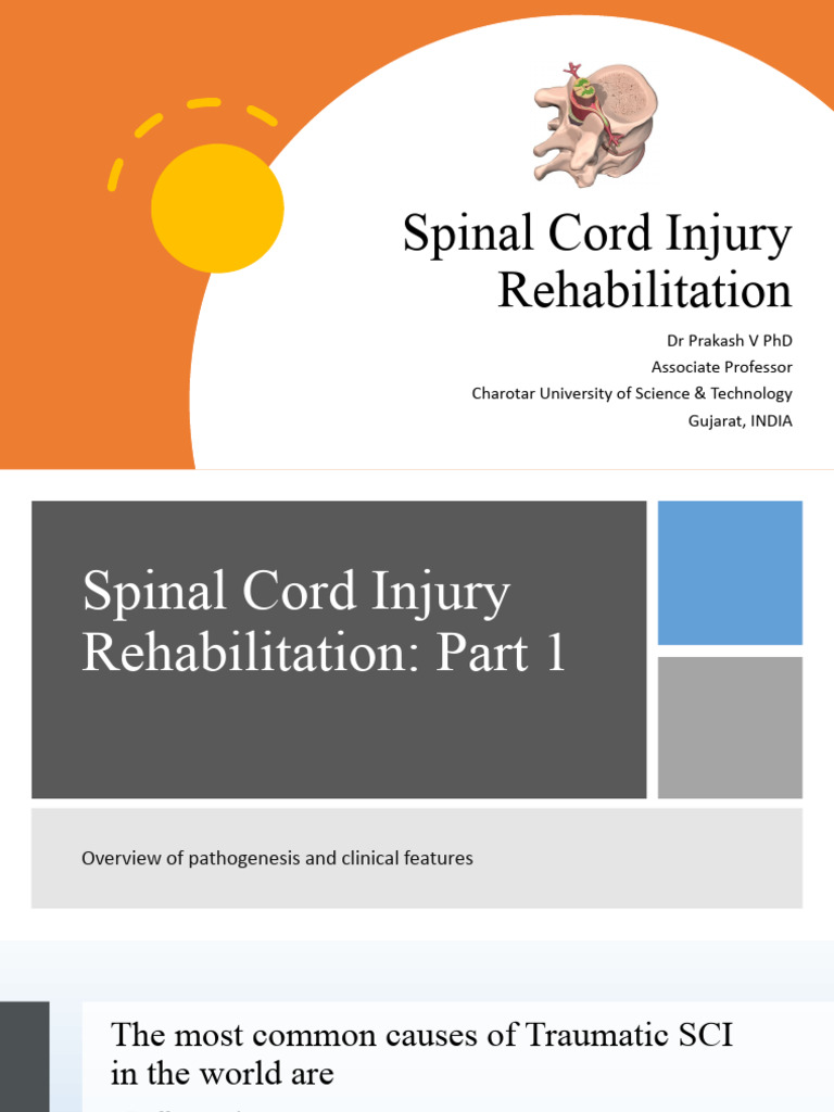 SCI Rehabilitation | Download Free PDF | Spinal Cord Injury | Injury