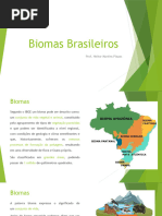 Capa Trabalho Ciencias Bioma Brasileiro | PDF