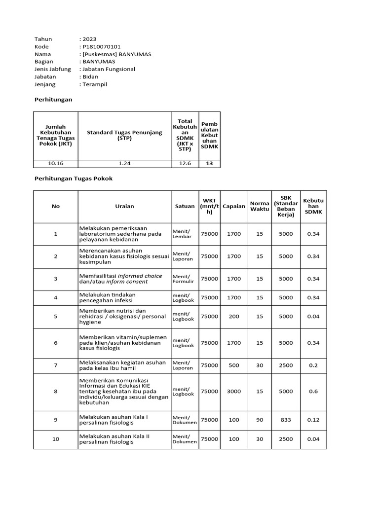 Anjab Bidan Terampil | PDF