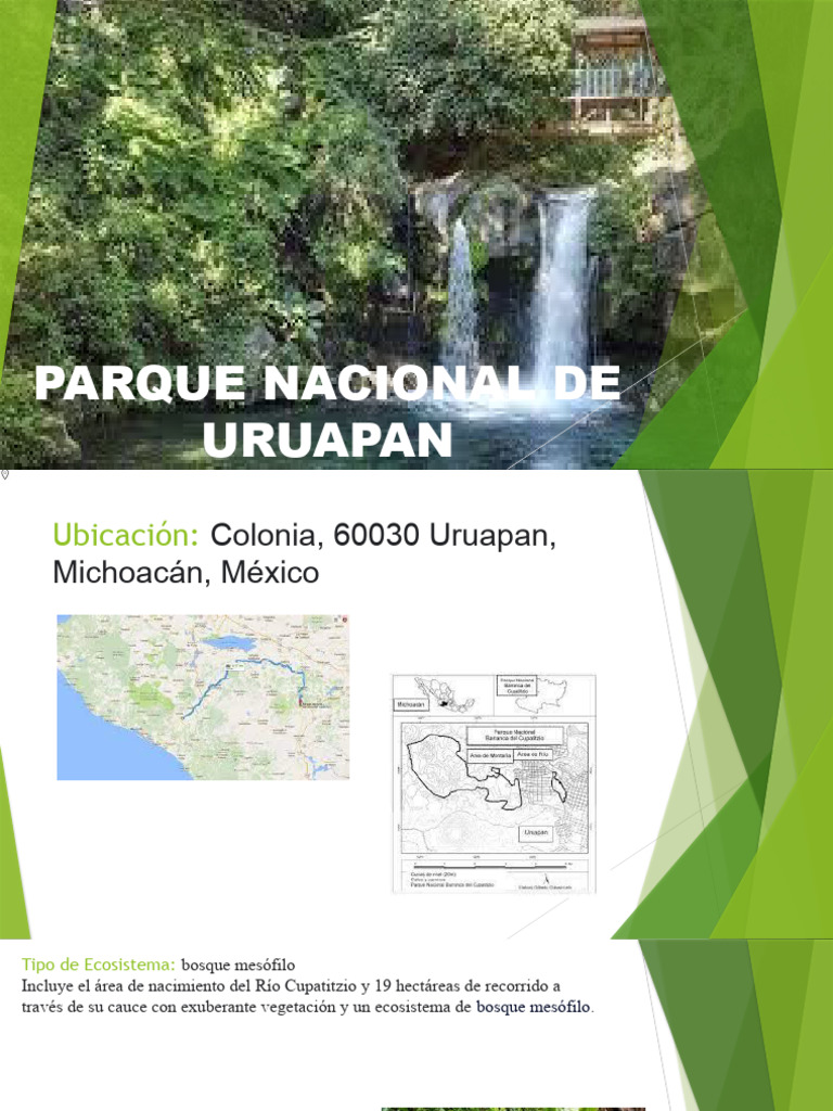 Parque Nacional Uruapan: Flora y Fauna | PDF | Tecnología