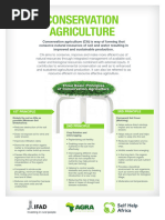 VTU-NSS_Report_Template_final[1] | PDF | Organic Farming | Agriculture