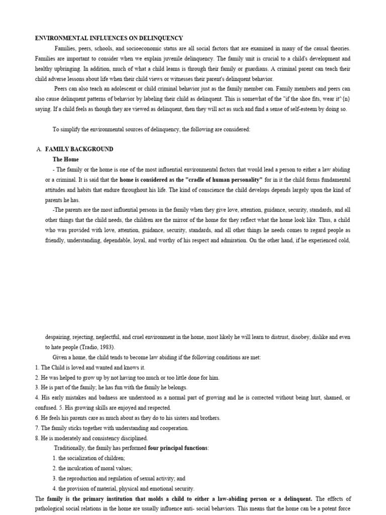 Environmental Influences On Delinquency | PDF | Juvenile Delinquency ...