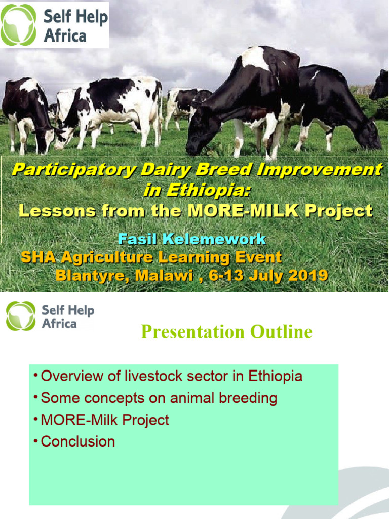 Participatory Dairy Breeding Blatye PPT 11.7.19 | PDF | Dairy Cattle ...