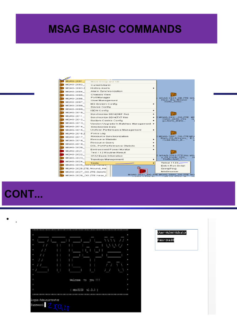 MSAG Basic Commands Guide | PDF | Teaching Methods & Materials | Computers