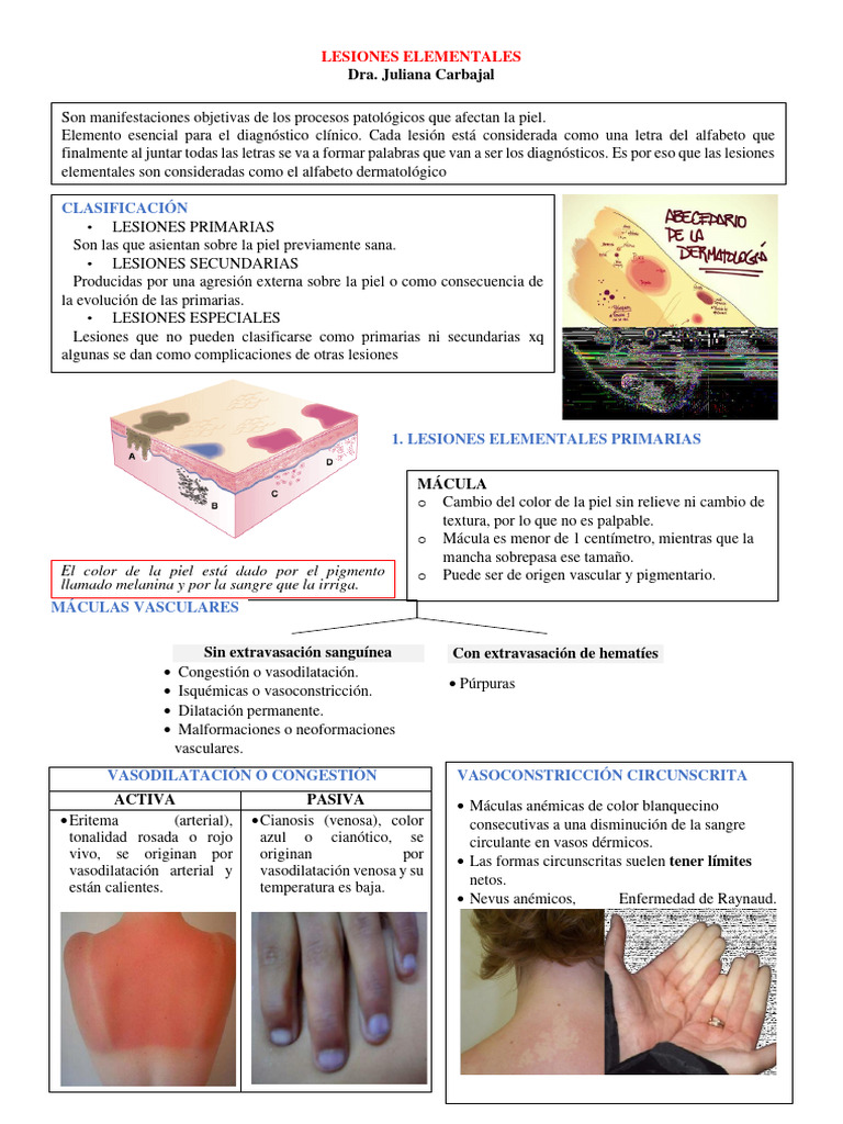 Lesiones Elementales | PDF | Piel | Condiciones cutáneas