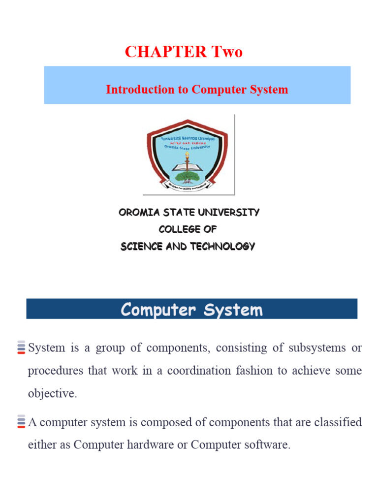 Chapter Two - Computer System | PDF | Computer Data Storage | Programming
