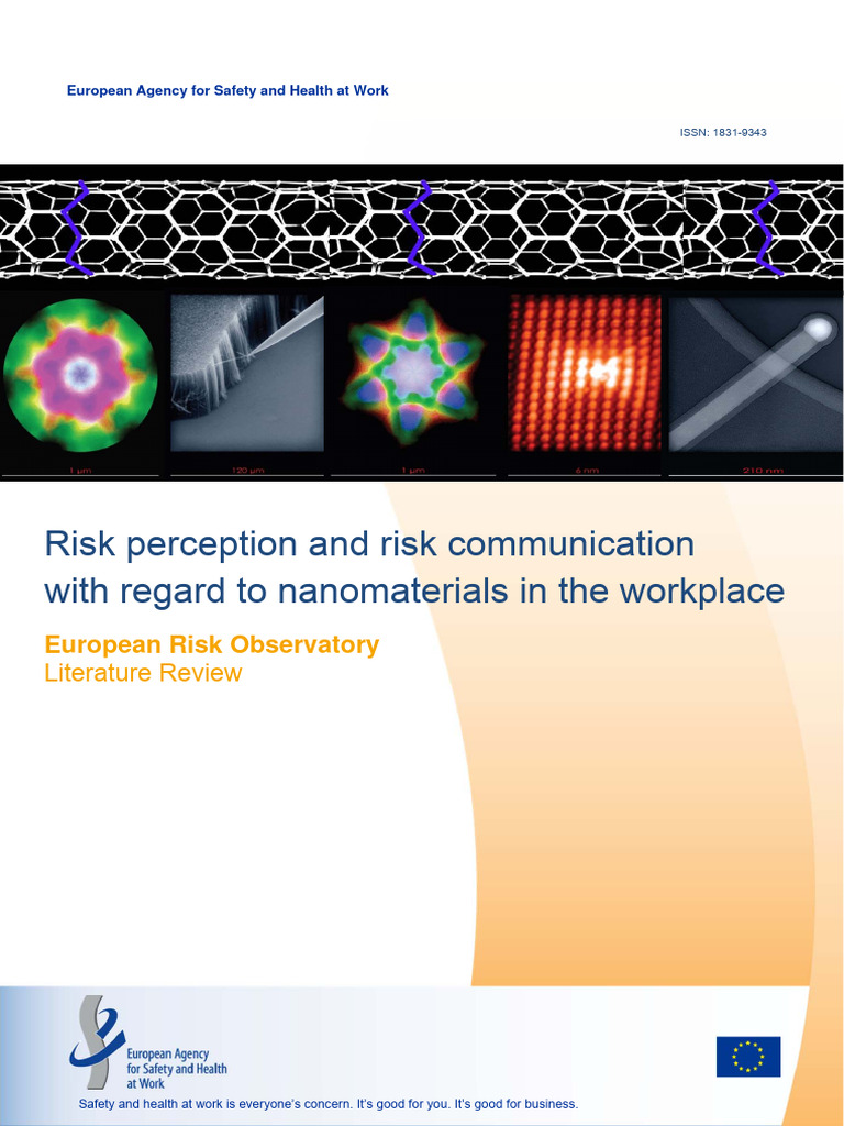 Risk Perception and Risk Communication With Regard To Nanomaterials in The Workplace | PDF ...