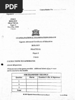 Jjeb P2 Uace 2024 | PDF